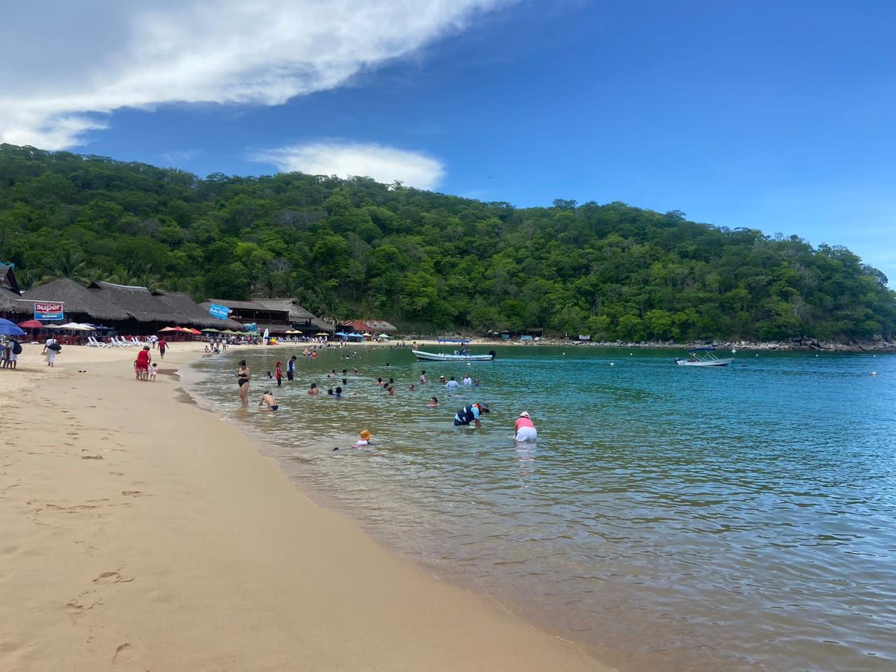 Las 14 playas de Oaxaca se encuentran aptas para su uso recreativo: SSO ...